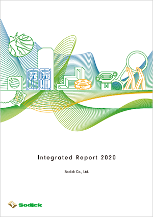 Integrated Report / Annual Report